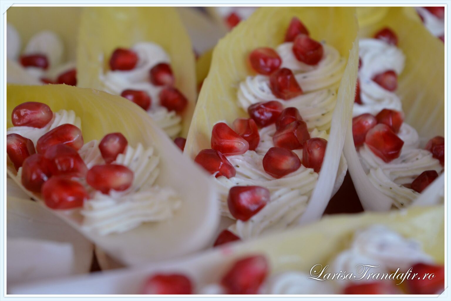 Andive aperitiv - Larisa Trandafir